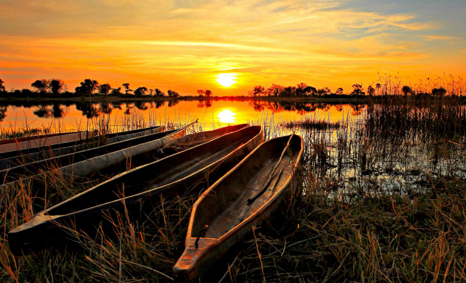 Botswana Wild Parks - Southern Exposure Tours