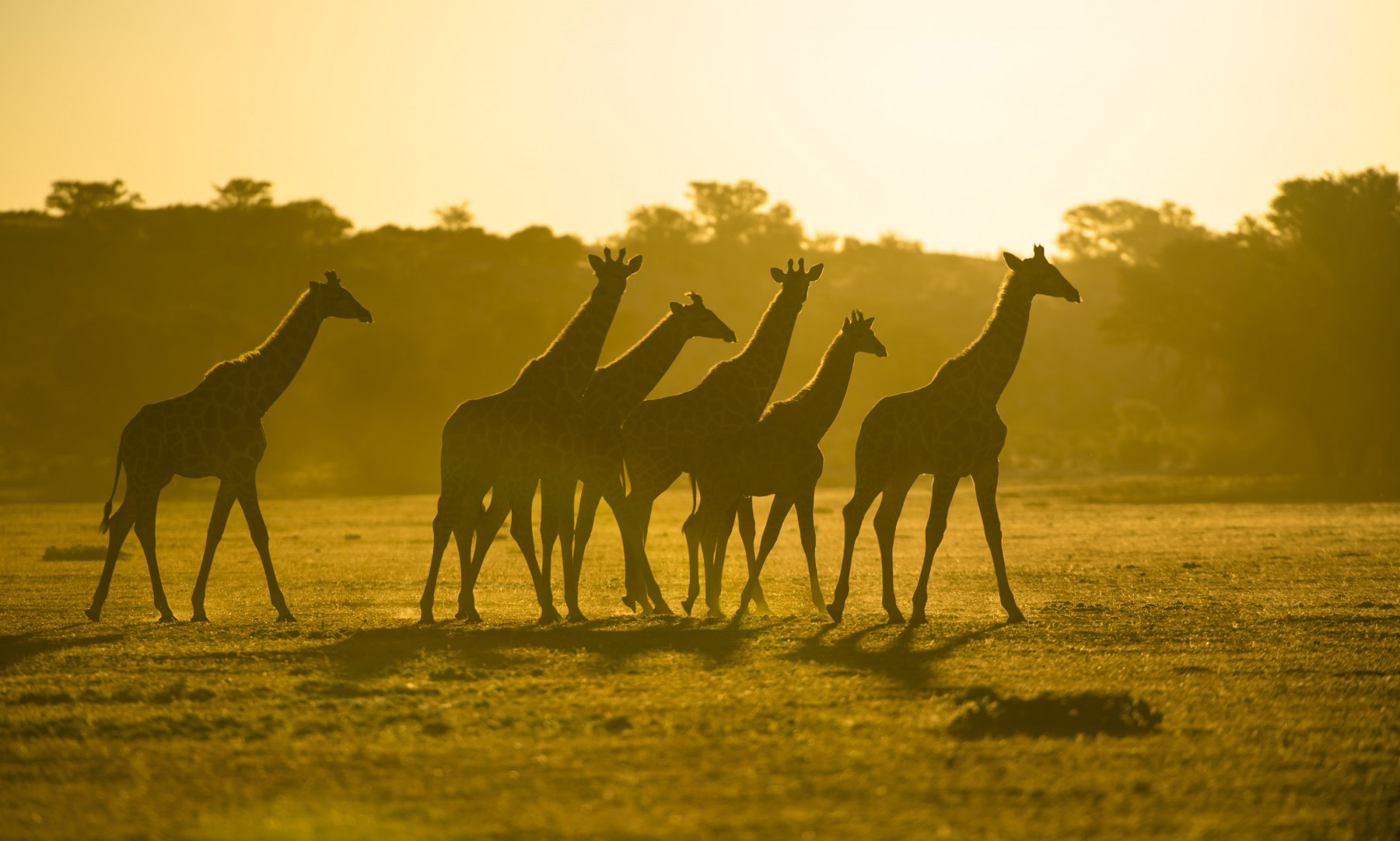 South Africa Rainbow Route - Southern Exposure Tours