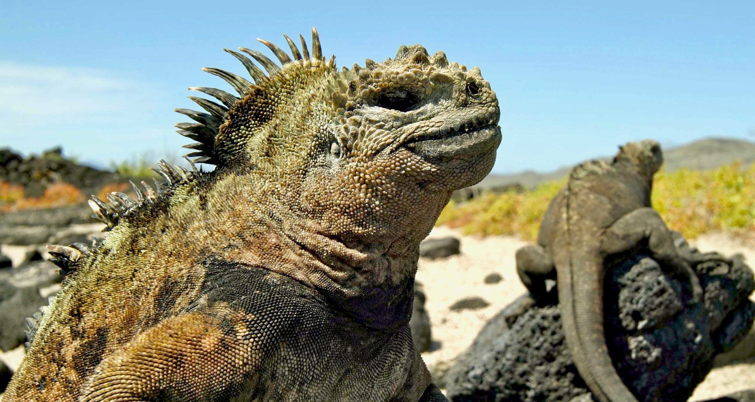 Home - Southern Exposure Tours